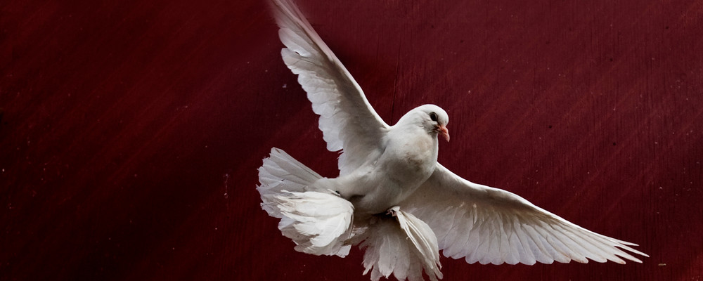 Helligånden er Guds nærvær hos ethvert menneske til enhver tid ...