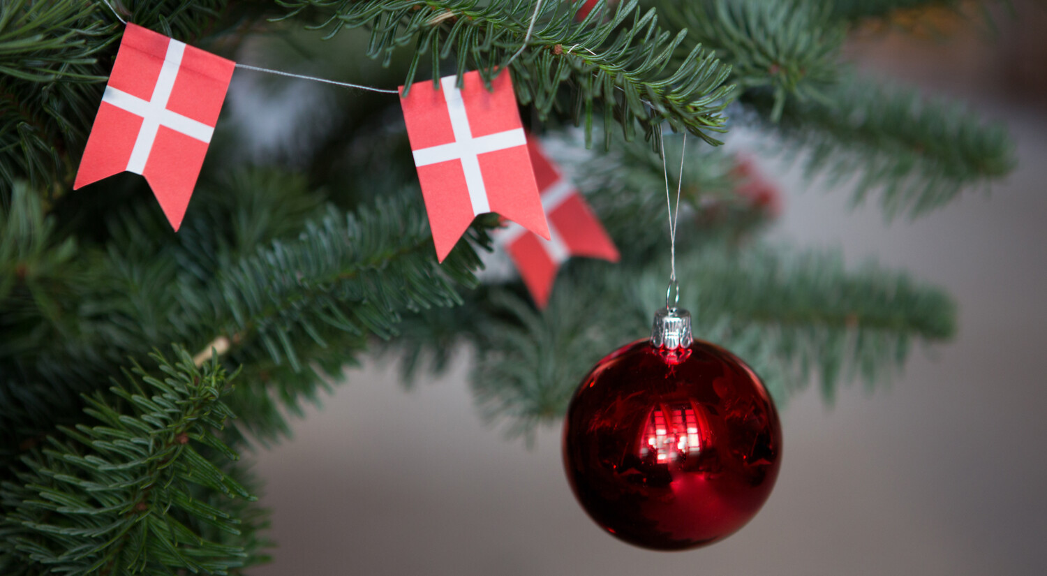 Vi googler rundt om juletræet | Folkekirken.dk